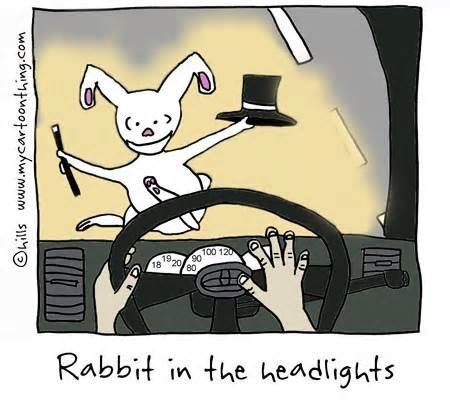 Кроличьи идиомы... LIKE A RABBIT CAUGHT IN THE HEADLIGHTS / как кролик ...
