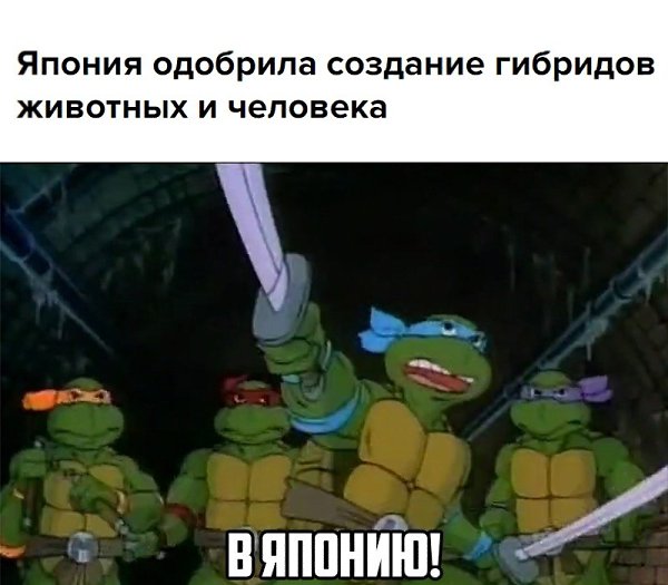 Наконец то