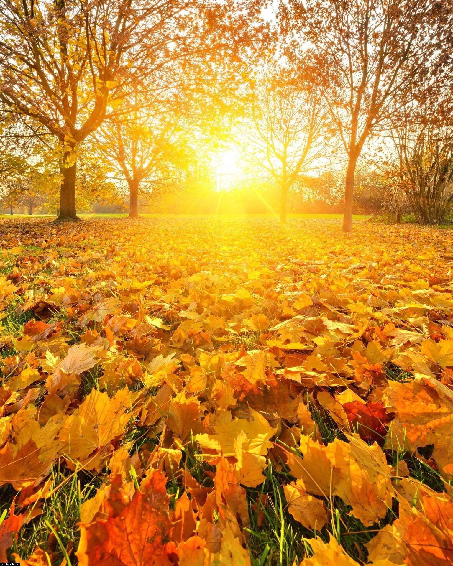 Evgen Evgen опубликовал пост от 4 ноября 2023 в 07:32 | Фотострана | Пост №2637720865